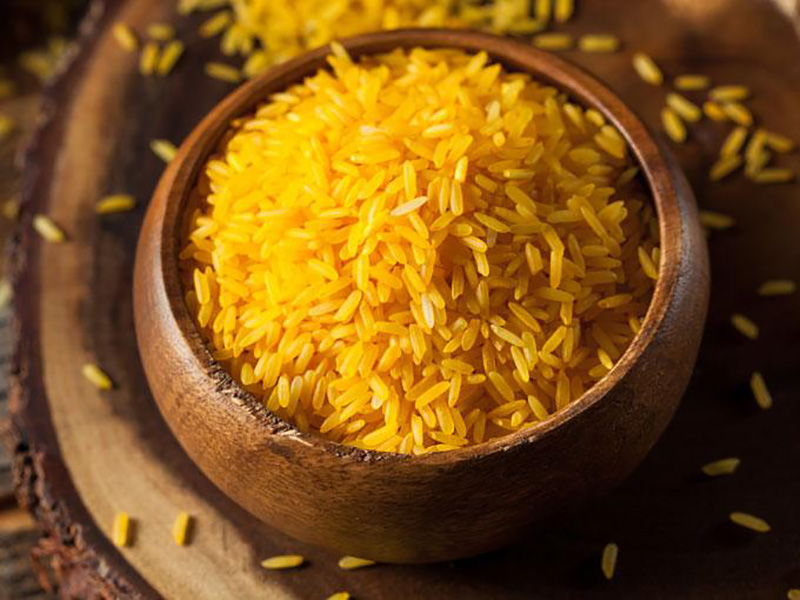 El Arroz Dorado esta cerca de su aprobación en Bangladesh | Agro-Bio
